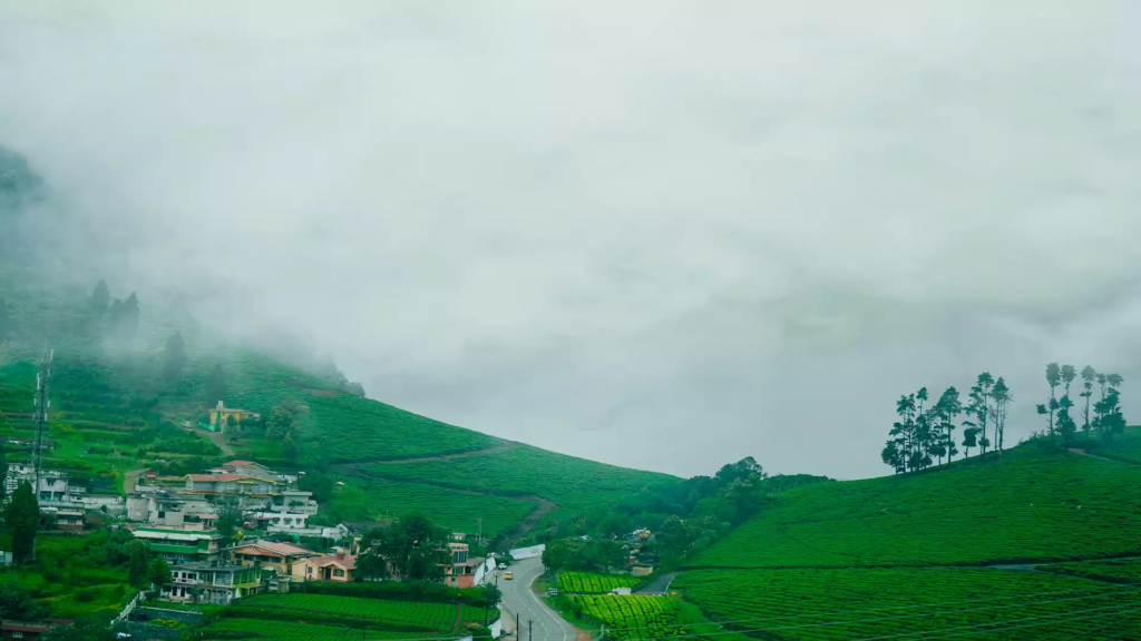 Experience a Magical Diwali Tour: Coorg, Ooty, and Mysore - Fundayoption